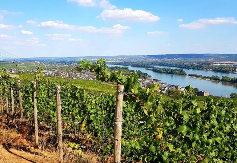 Rijn Luxe Riviercruise 13 tot 20 mei 2023 - Go For Cruise